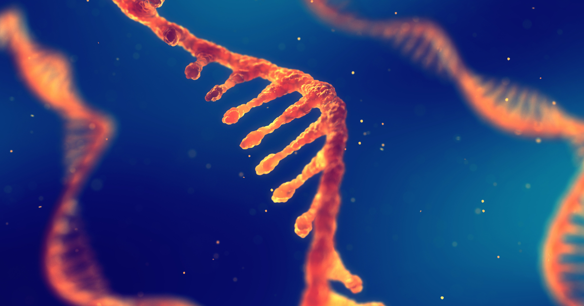 Roche, BioNTech Advance Personalized mRNA Vaccine Bladder Cancer Trial ...