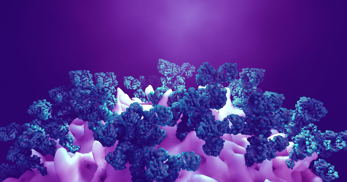 Oncolytic Viruses May Help Cancer Patients Overcome Resistance to ...