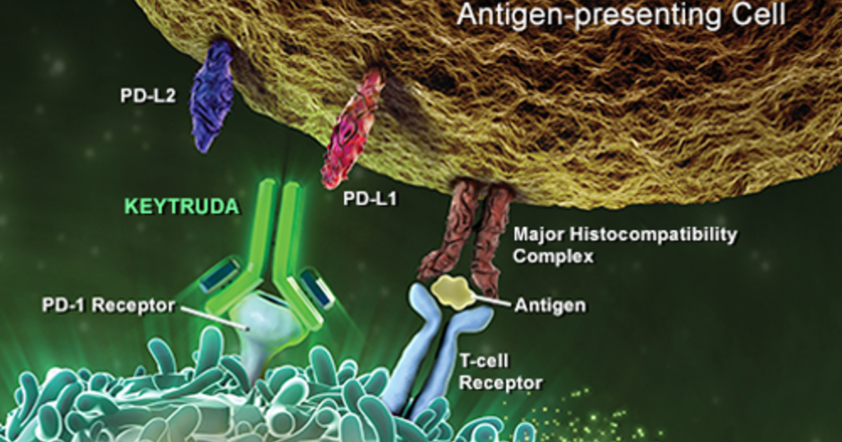 AACR: Study Shows PD-L1 Expression Can ID Best Responders to Merck's ...
