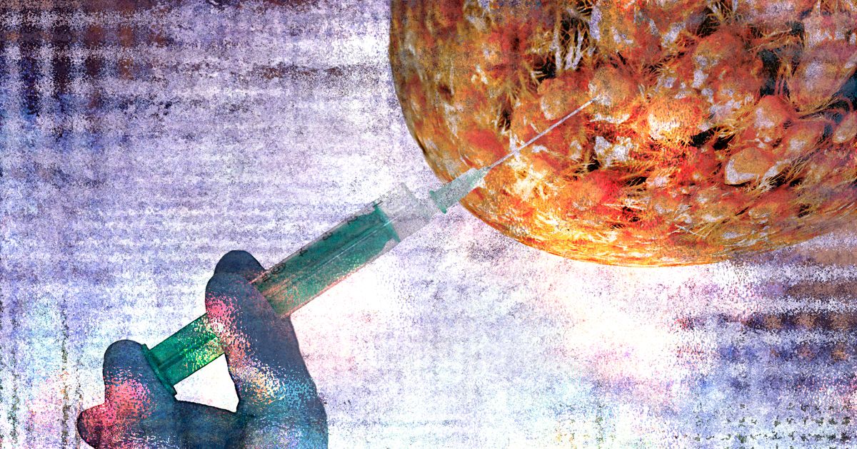 PDC*Line Pharma Taps Into Dendritic Cell Lines for Personalized ...