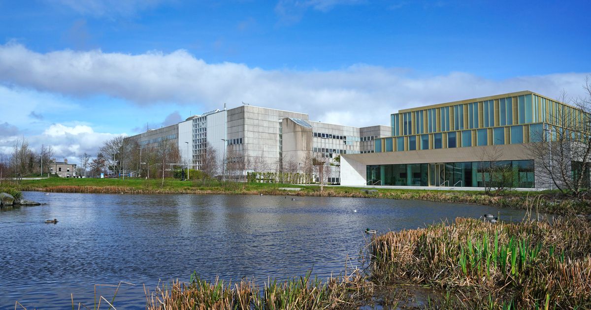 Irish Precision Oncology Consortium Enters Second Phase With €28M ...