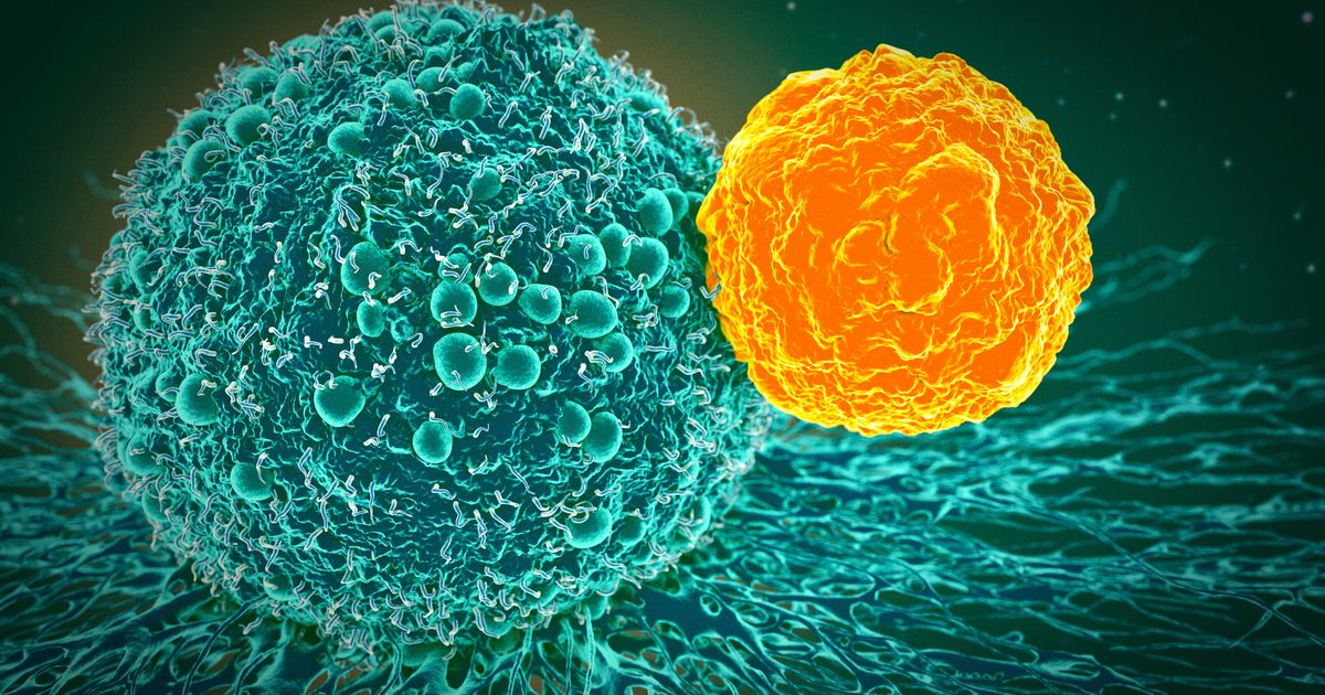 Spanish Researchers Developing Autologous 'STAb' Therapy to Overcome ...