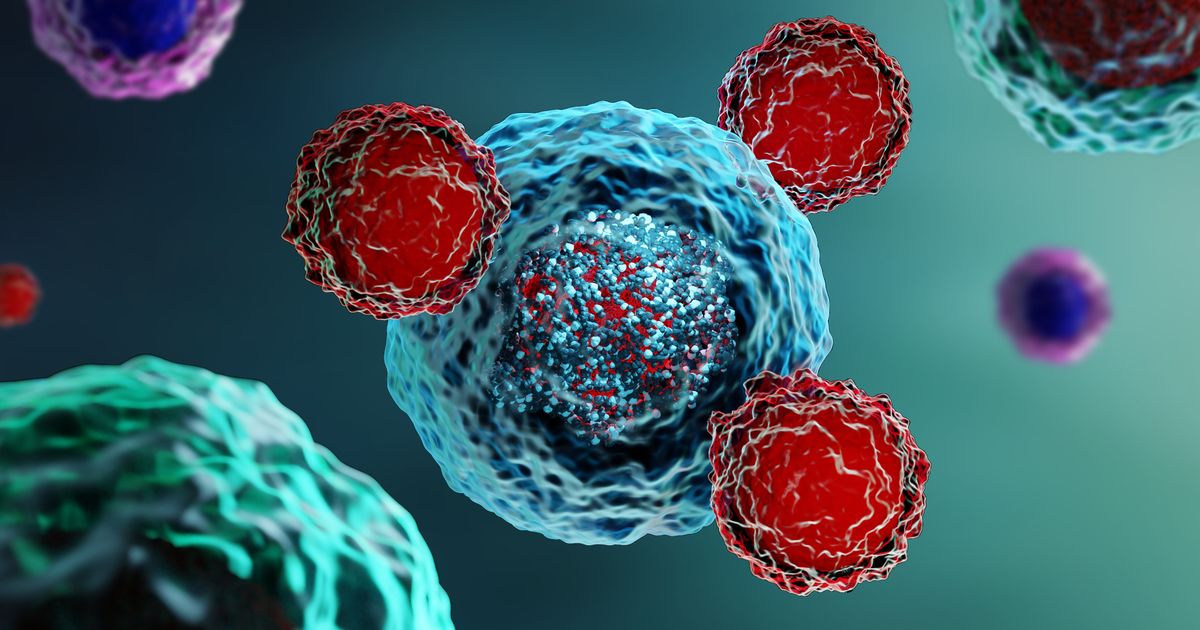 Nectin Therapeutics Enters Clinical Stage With Drug for Non-Responders ...