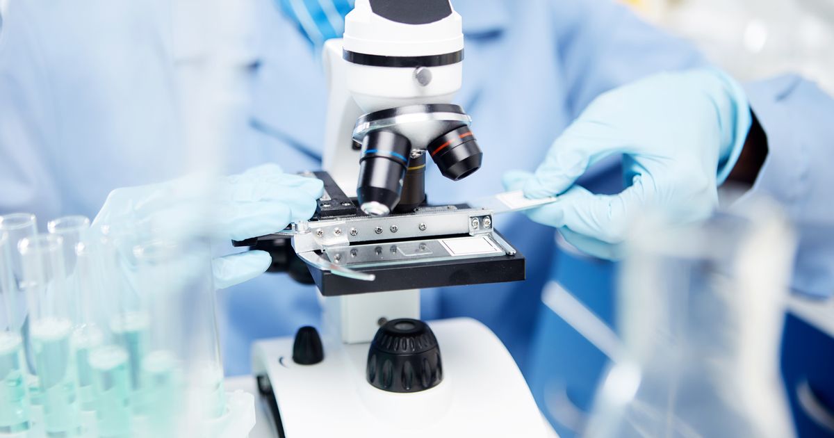 AI Tools Stumped By HER2-Low Breast Cancer Just Like Pathologists ...